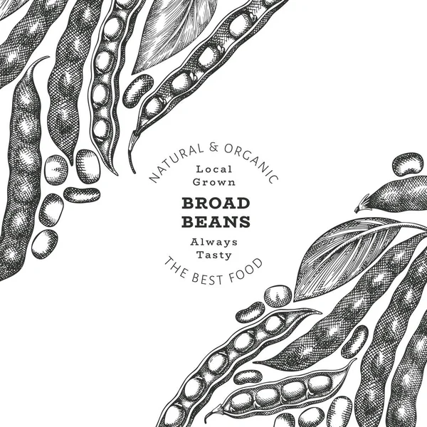 Broad beans Vector Art Stock Images | Depositphotos