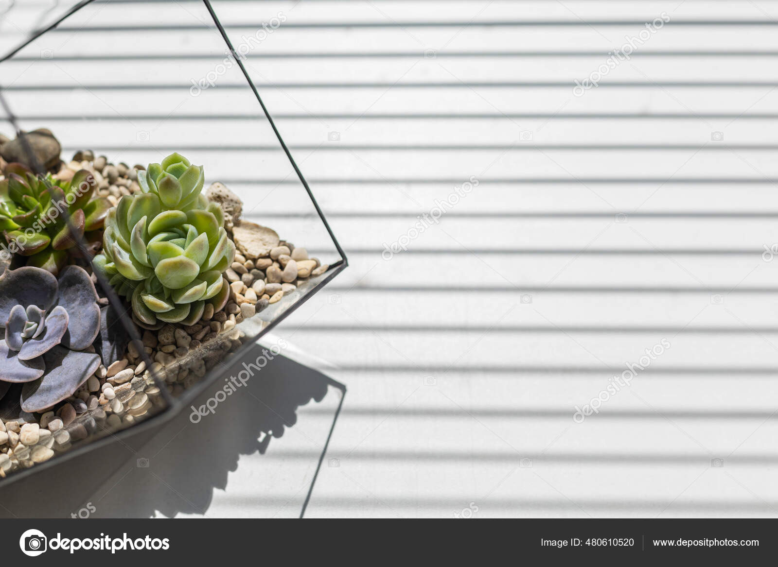 Beautiful blossom art composition succulents in glass florarium at ...