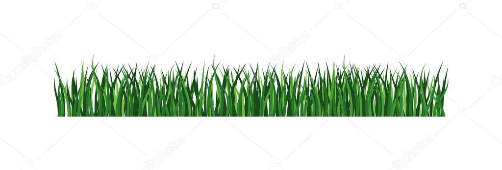 Grass vector illustration. — Stock Vector © VectorShow #118132296