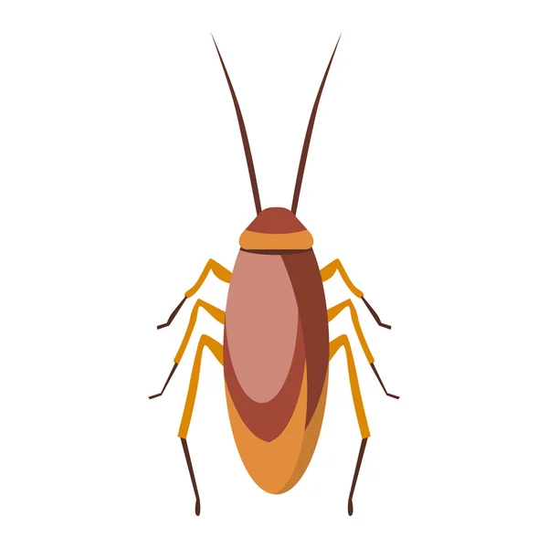 9,556 Cockroach Vector Images, Cockroach Illustrations | Depositphotos