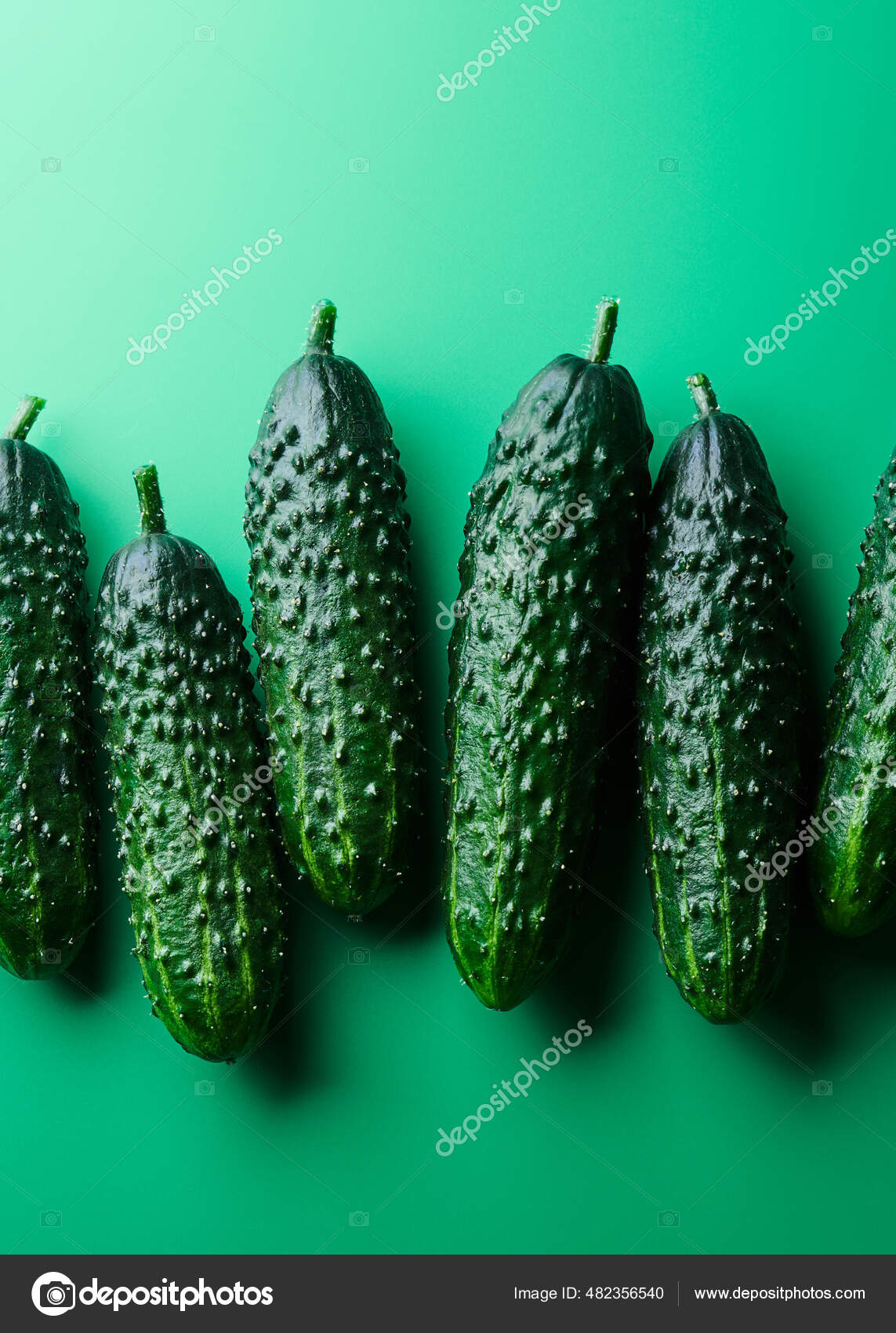 Set Fresh Whole Cucumbers Green Background Food Pattern Garden Cucumber ...