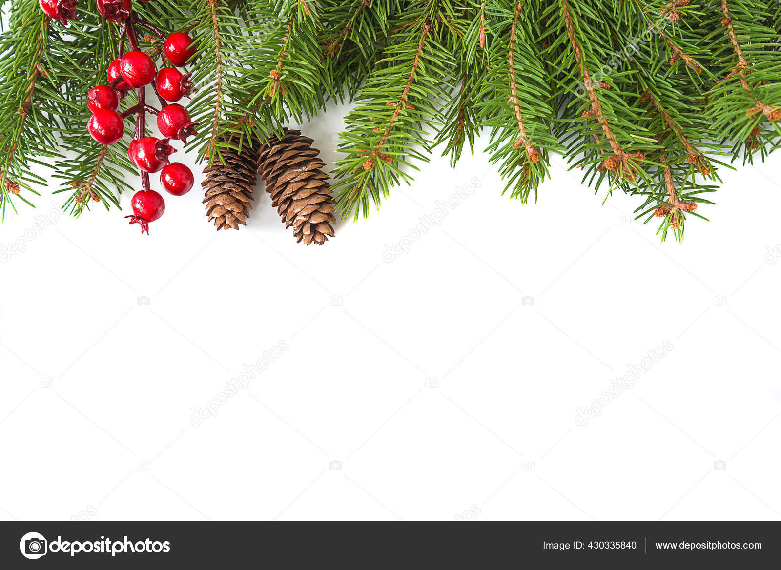 Julkort Med Hälsning Ram Gröna Gran Grenar Kottar Bär — Stockfotografi ...