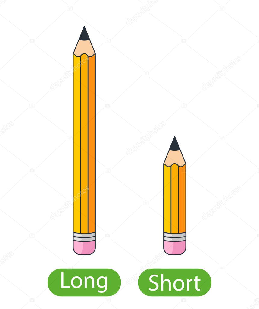 lápices largos y cortos. concepto de niños aprendiendo adjetivos ...