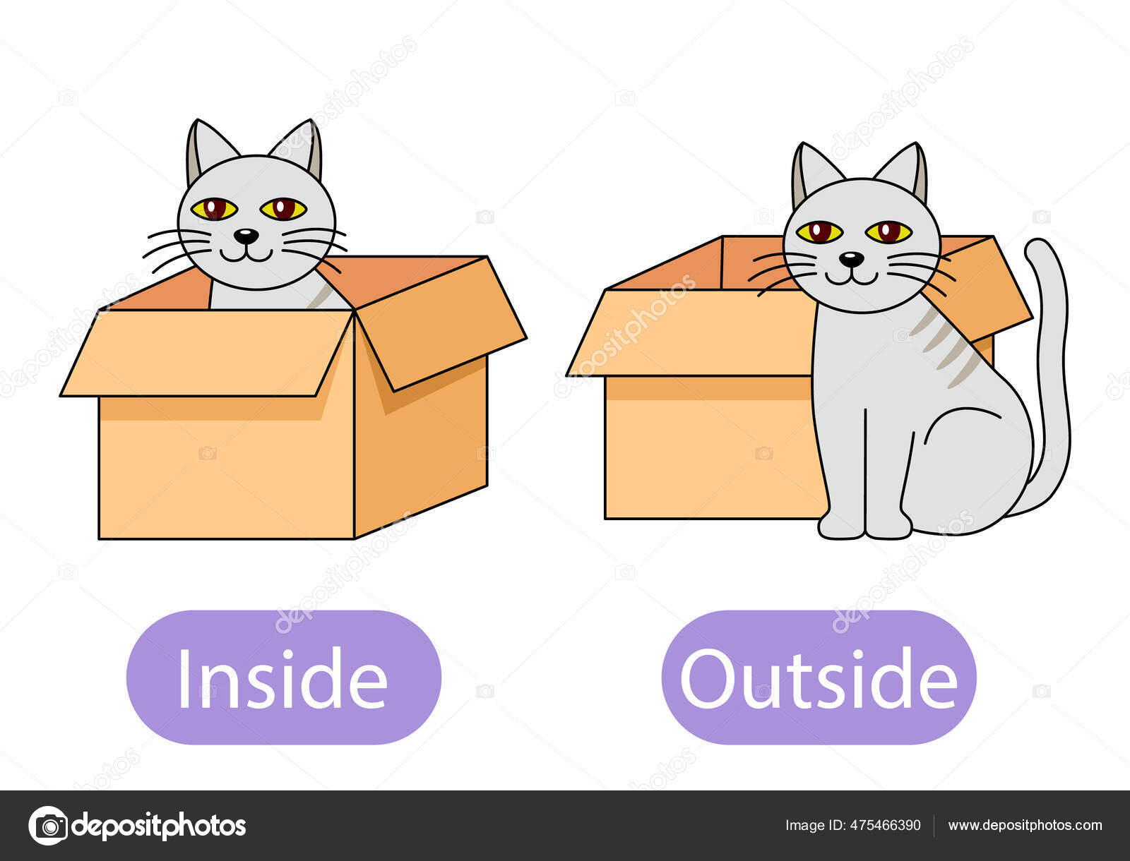 Cat Sits Box Next Box Concept Children Learning Prepositions Out Stock ...