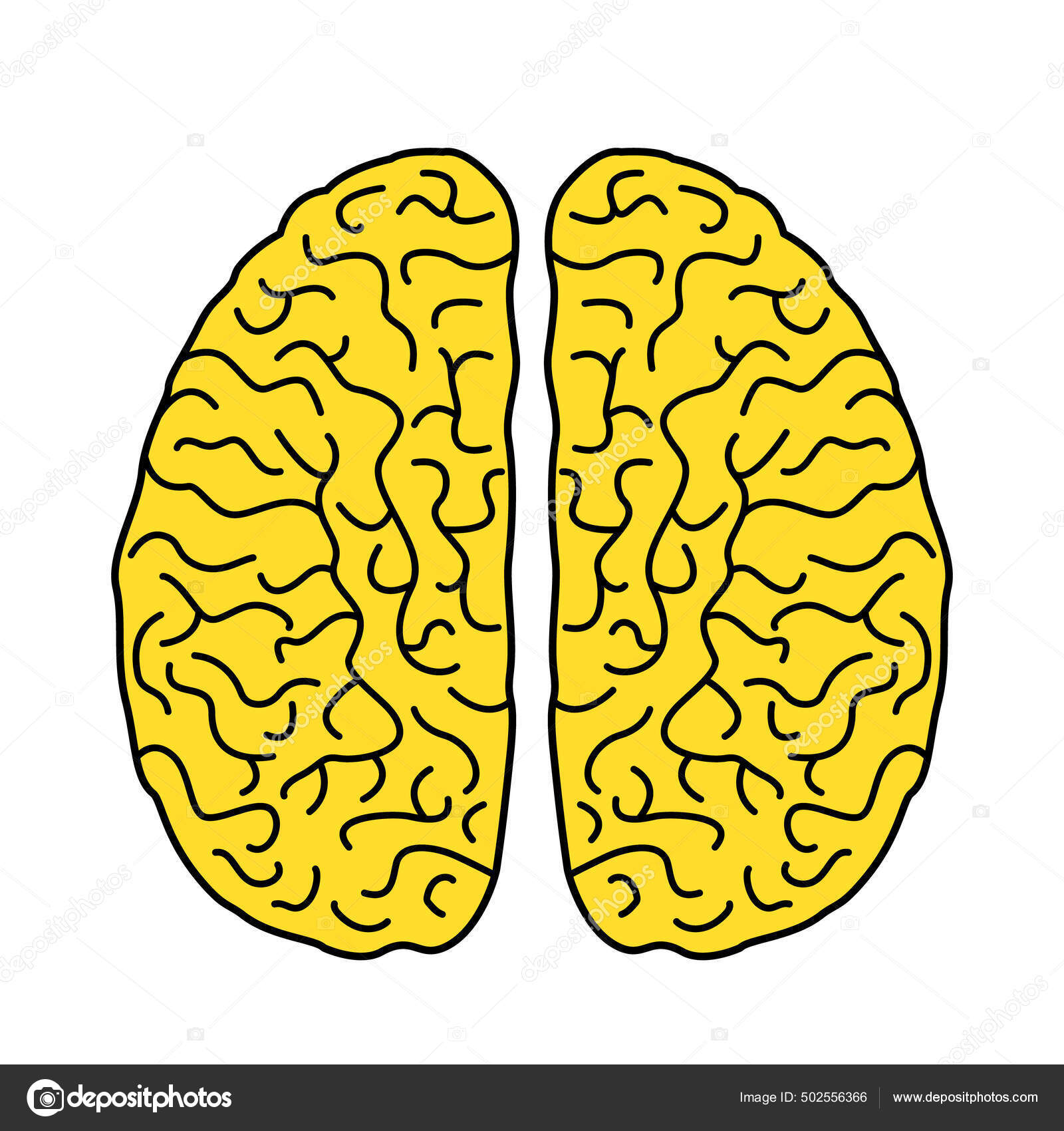 Two Hemispheres Human Brain Linear Style Flat Icon Brain Vector Stock ...