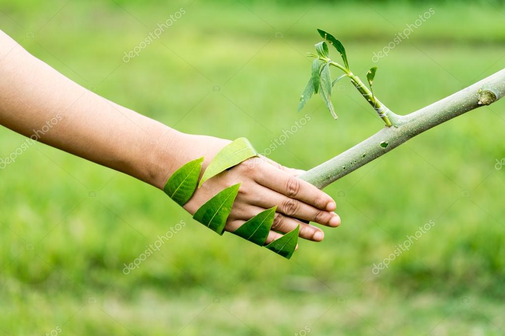 Handshake With Nature — Stock Photo © sph1410 #118256328