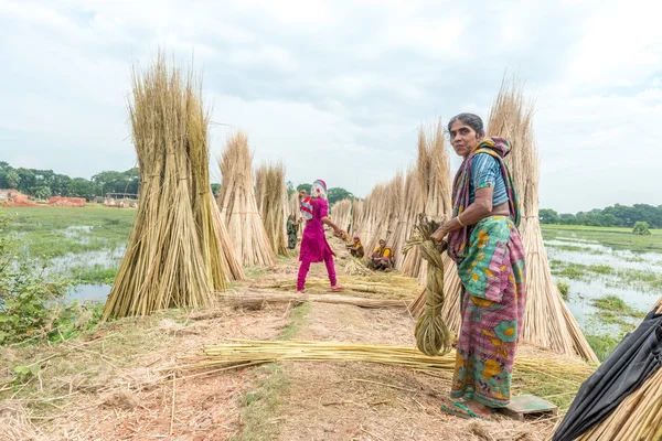Jute processing work – Stock Editorial Photo © sph1410 #121712338