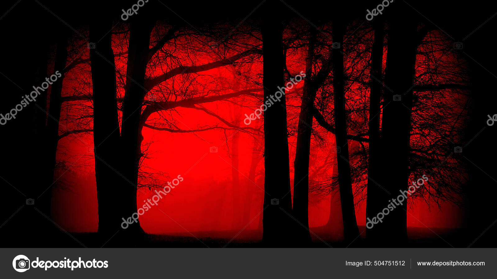 Spooky Forest Red Glow Forest Fire Wildfire Bushfires Burning Trees ...