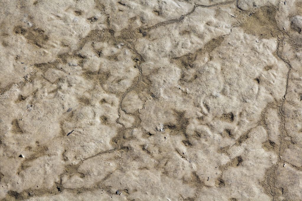Dry Mud Texture Stock Photo by ©rickdeacon 117595590