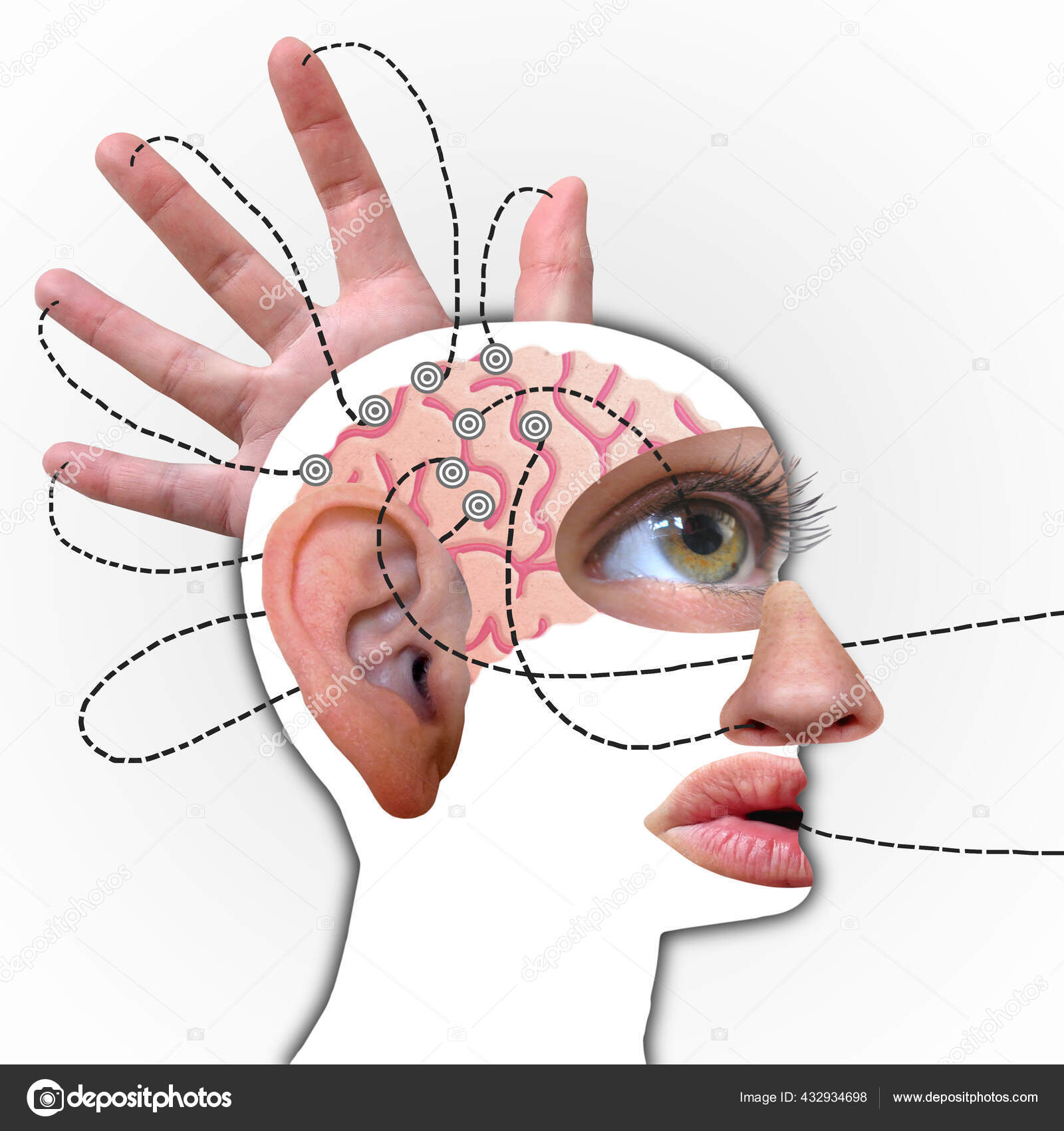 Human's Brain Profile Connected Five Senses Funny Collage — Stock Photo ...