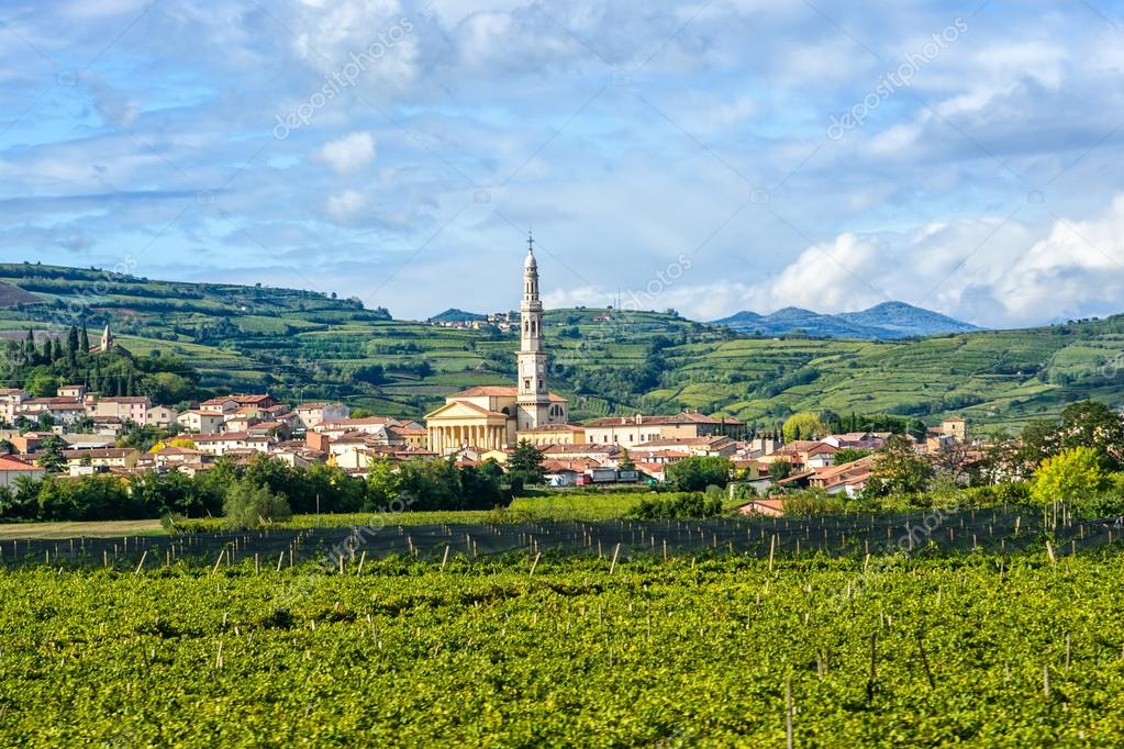 A view of the Italian city with the highest tower among the houses ...