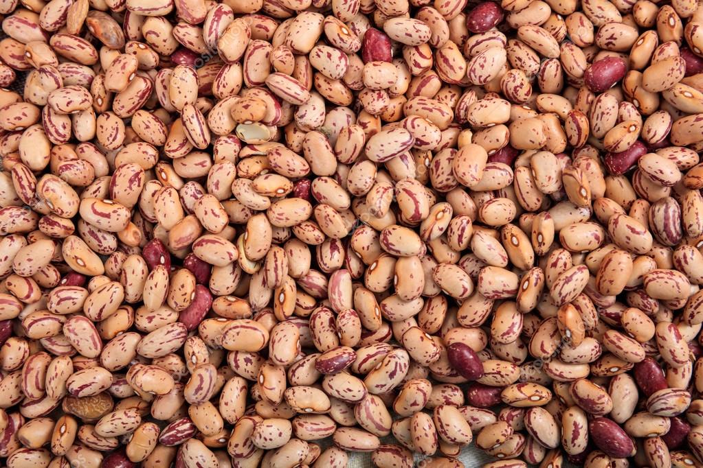 Pinto beans full background Stock Photo by ©gioiak2 119205896