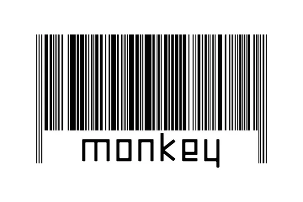 Monkey logo Stock Photos, Royalty Free Monkey logo Images | Depositphotos