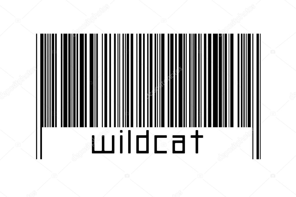 Digitalization concept. Barcode of black horizontal lines with ...
