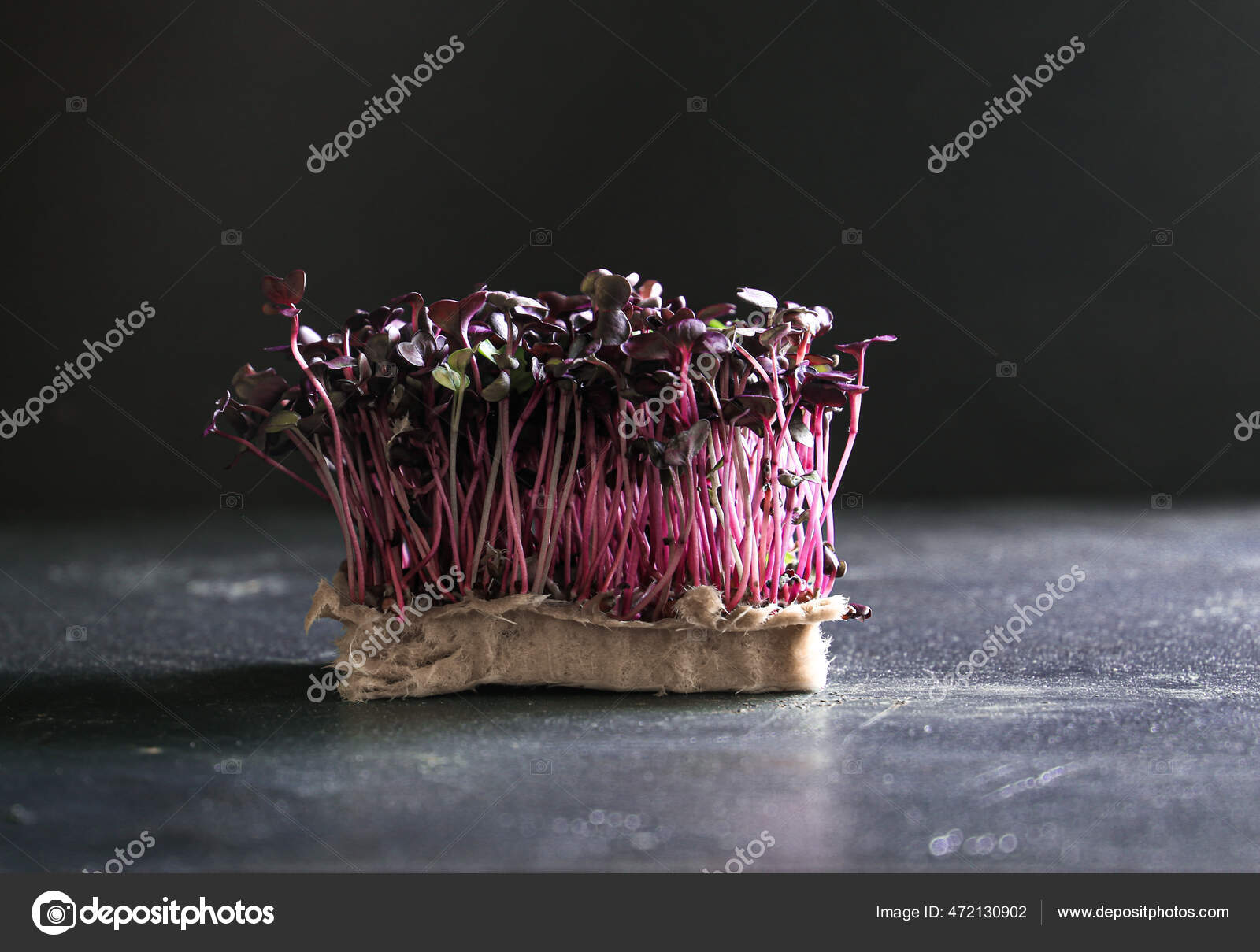 Red raish cress on dark undergrun, modern cooking — Stock Photo ...