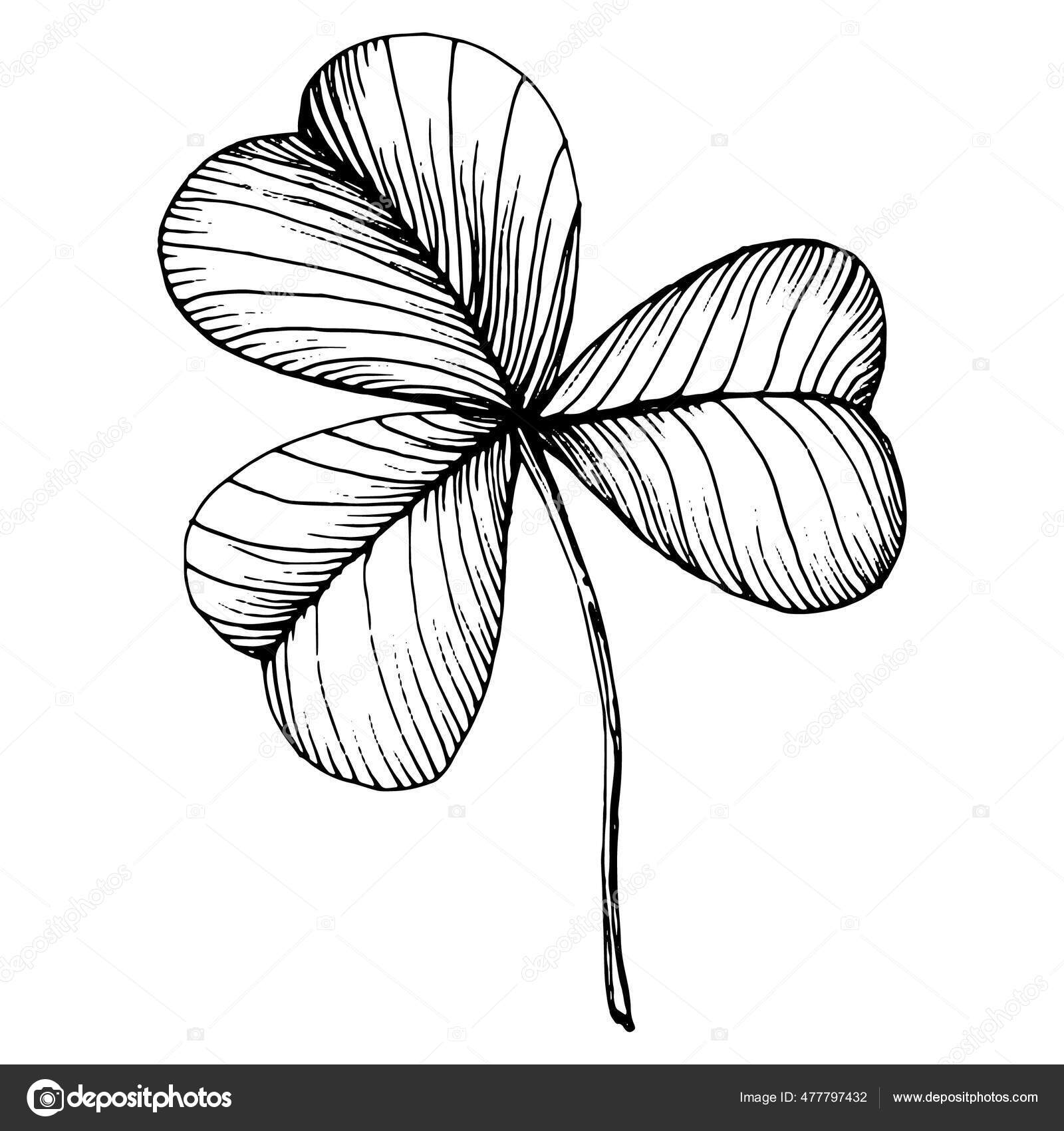 Shamrock Border Clip Art Black And White