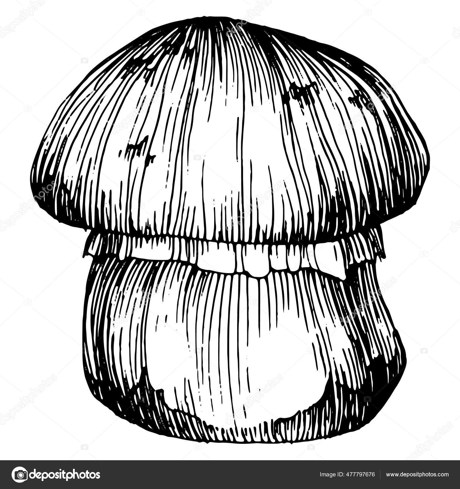 Boceto Ilustración Setas Para Logotipo Tatuaje Setas Altamente ...