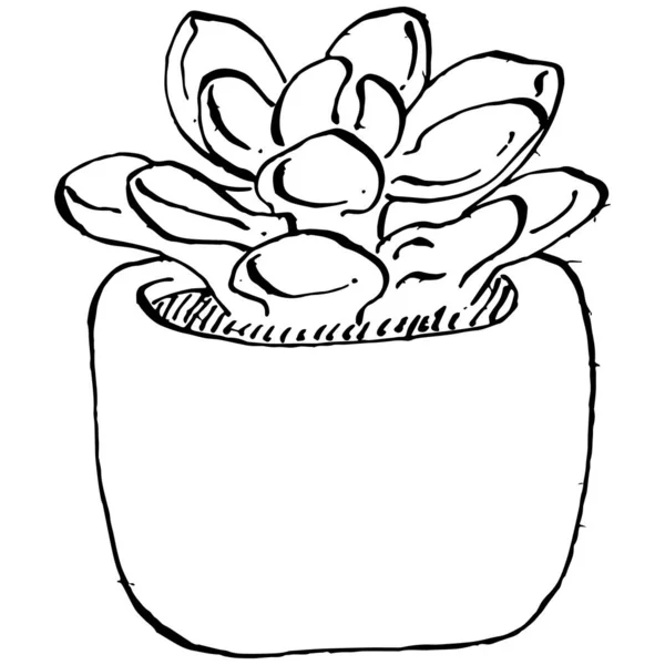 Flower Pot Outline Clip Art
