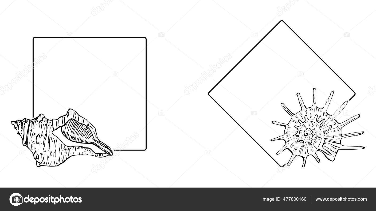 Hand Drawn Shell Logo Frame Border Promo Element Brand Emblem Stock ...