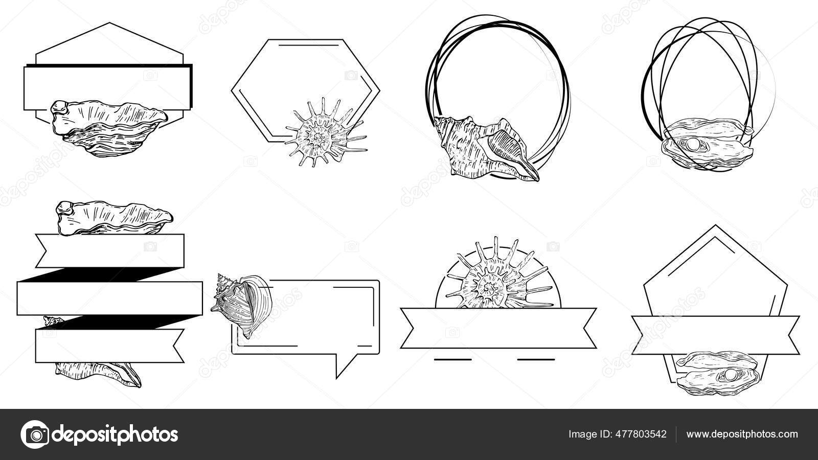 Hand Drawn Shell Logo Frame Border Promo Element Brand Emblem Stock ...