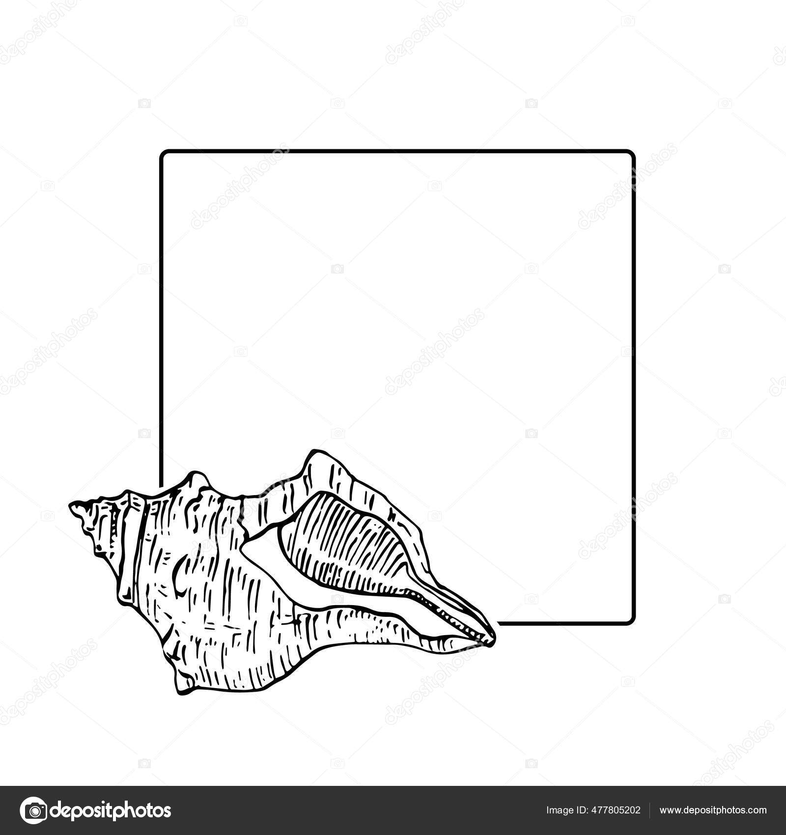 Hand Drawn Sea Shell Logo Frame Border Promo Element Brand Stock Vector ...