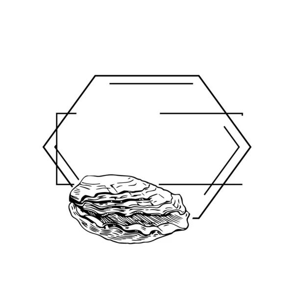 Hand Drawn Sea Shell Logo Frame Border Promo Element Brand Stock Vector ...