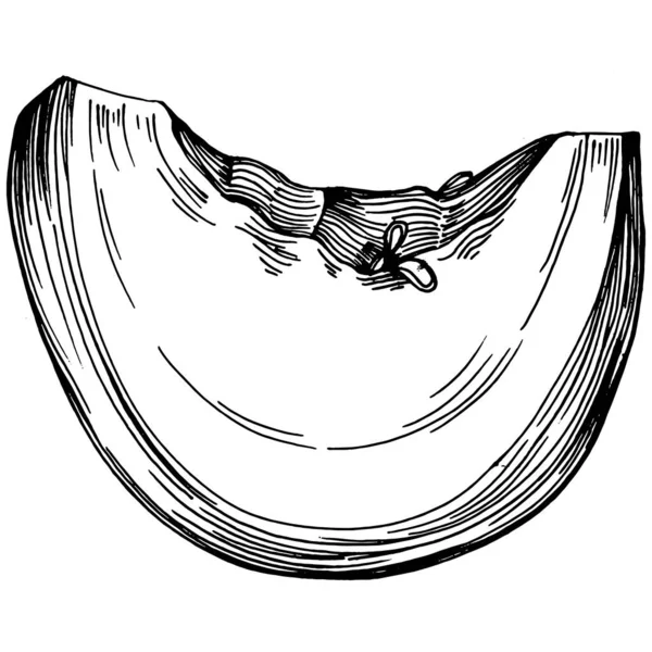 10,442,844 Nuca del cuello Vector Images | Depositphotos