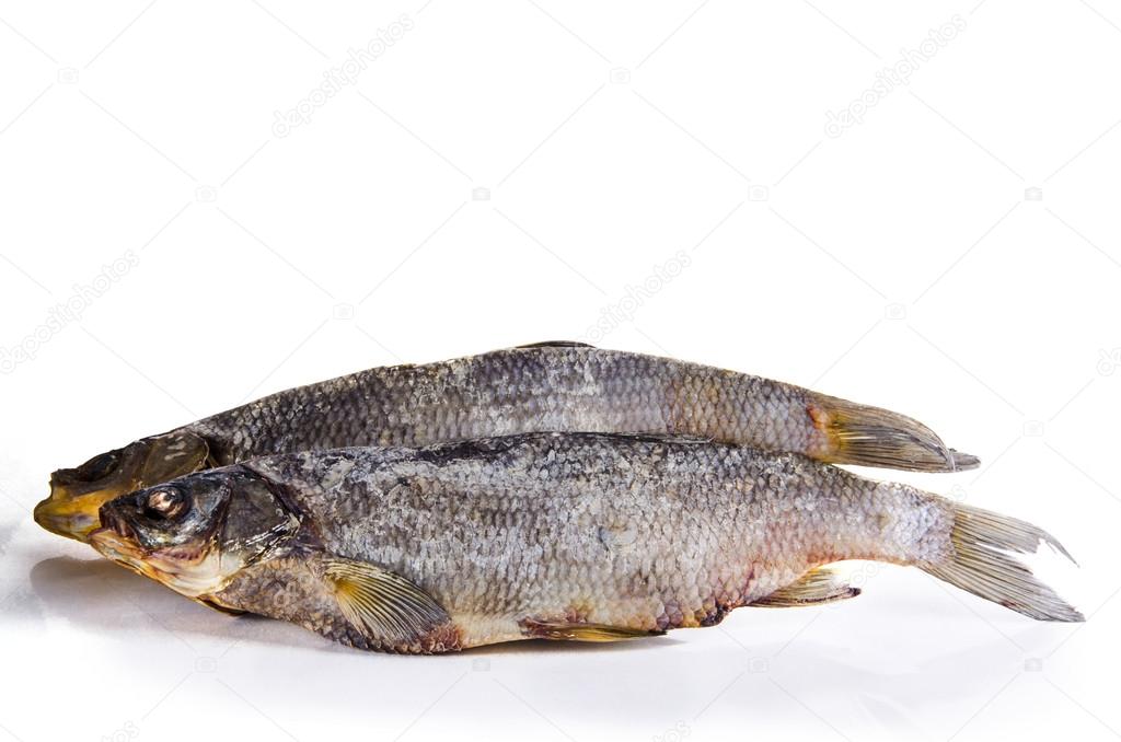 Pescado seco en un gancho sobre un fondo blanco 2023