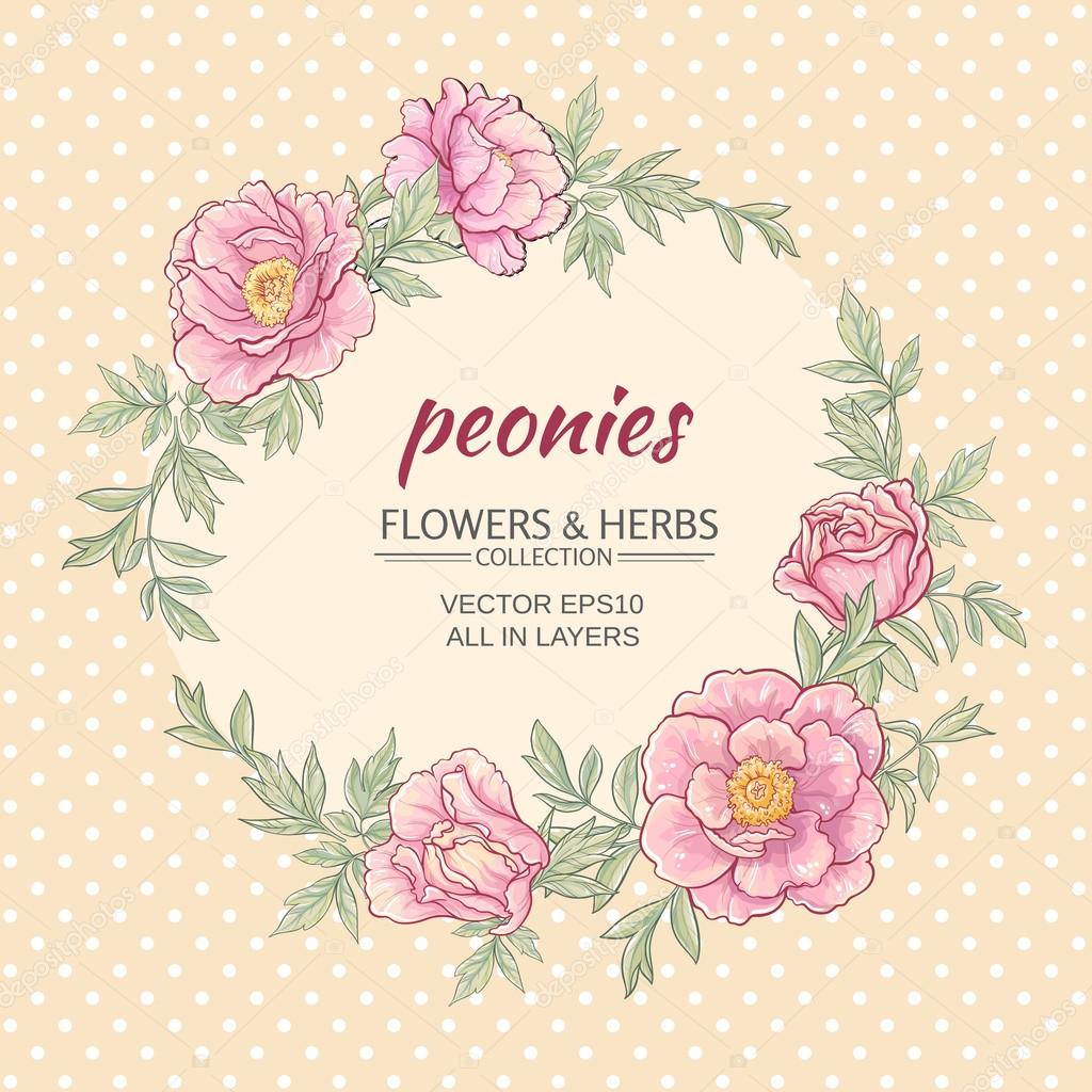 Peonies vector frame Stock Vector by ©cuttlefish84 120826434