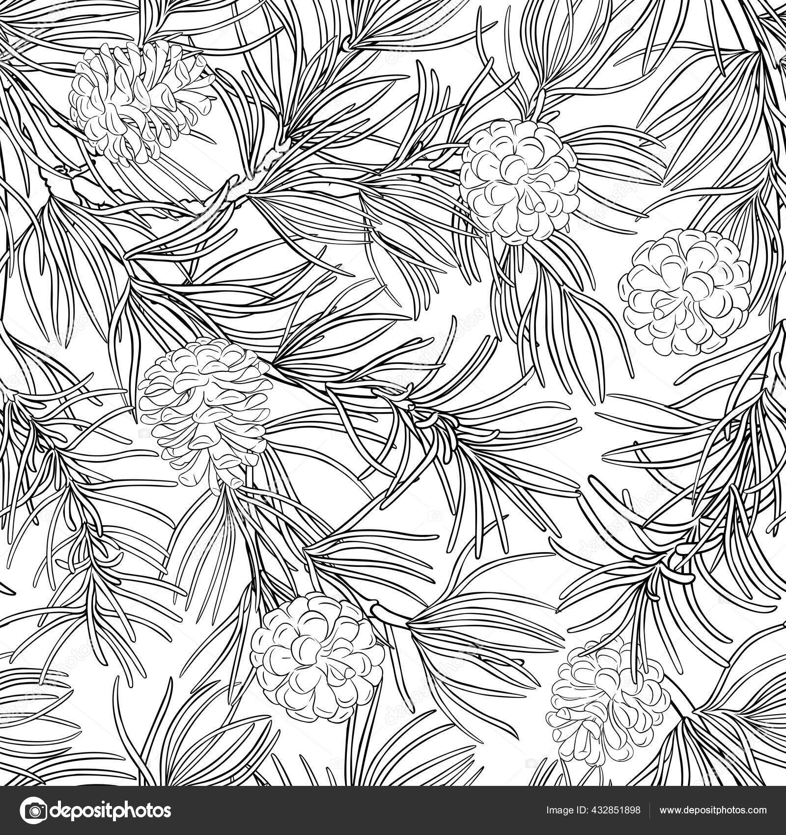 Pine pattern vector Stock Vector Image by ©cuttlefish84 #432851898