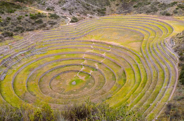 Ancient Inca Agriculture