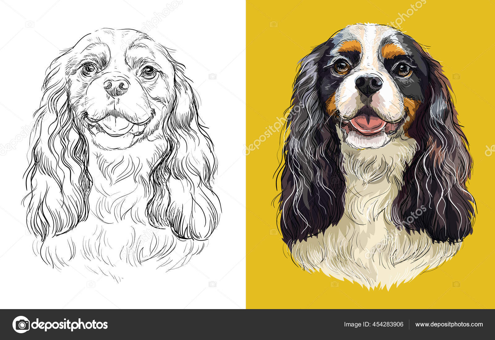 King Charles Cavalier Coloring Pages