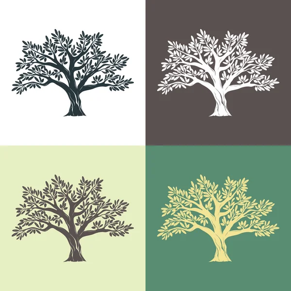 Argan tree Vector Art Stock Images | Depositphotos