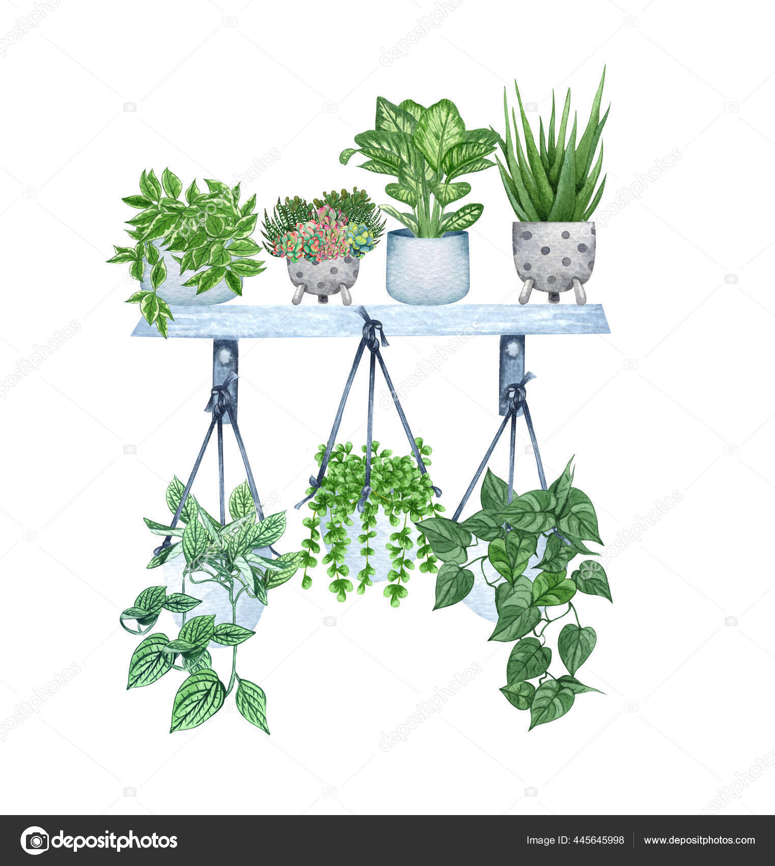 Watercolor Hanging Plant Clipart. Green Indoor House Plant Clipart ...