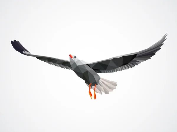 Low poly seagull Vector Art Stock Images | Depositphotos