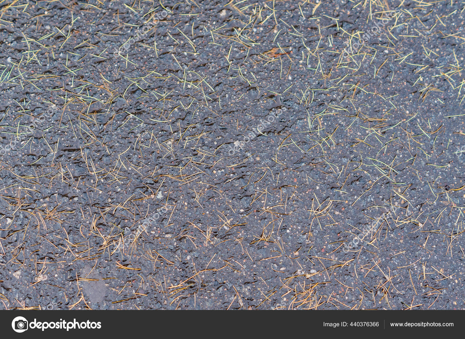 Wet Asphalt Background Texture Stock Photo by ©IKvyatkovskaya 440376366