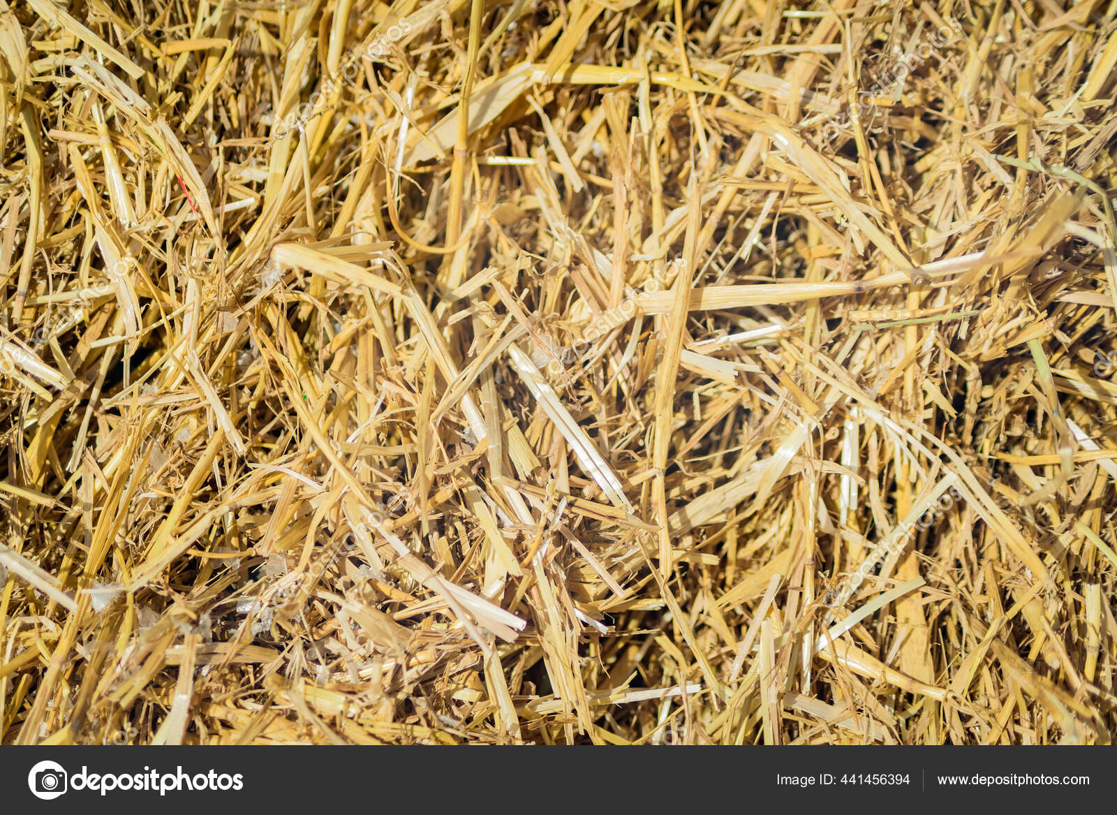 Natural Hay Background Texture Stock Photo by ©IKvyatkovskaya 441456394