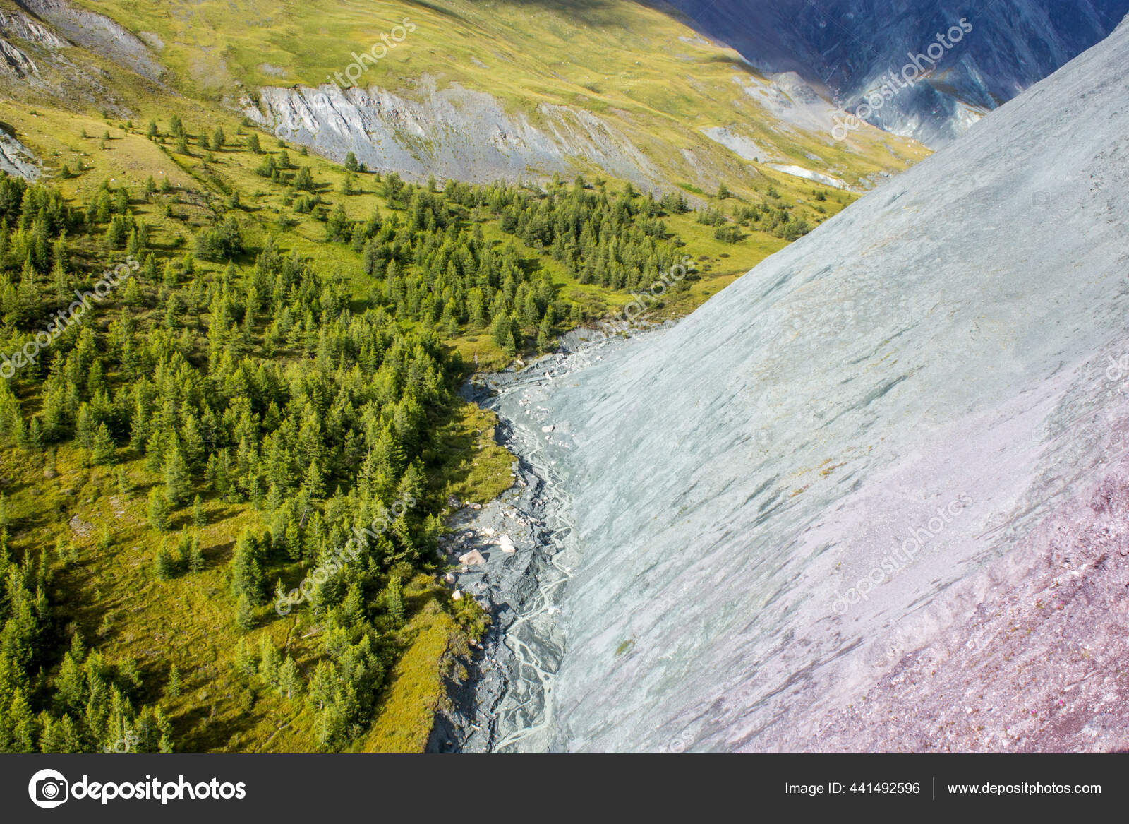 Mountain Stream Flows Spruce Forest Talus Slope Beautiful Alpine Valley ...