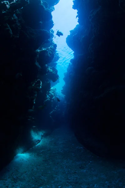 Underwater partition Stock Photos, Royalty Free Underwater partition ...