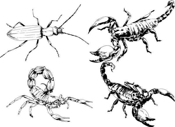 Biologia dibujo imágenes de stock de arte vectorial | Depositphotos