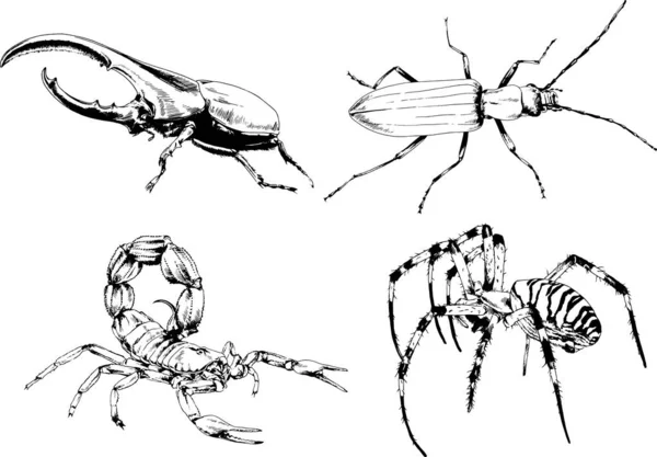 Invertebrados imágenes de stock de arte vectorial | Depositphotos