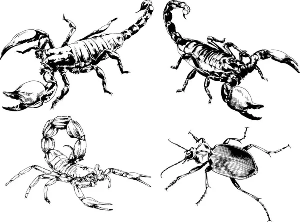 100,000 Mites on animals Vector Images | Depositphotos