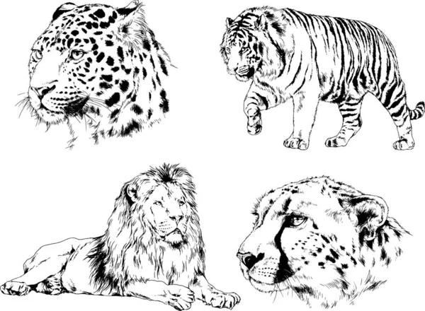 Panther cartoon illustration coloring book Vektor Stok, Ilustrasi ...