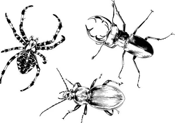 100,000 Pest analysis Vector Images | Depositphotos