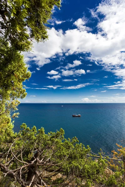 Ship tree Images - Search Images on Everypixel