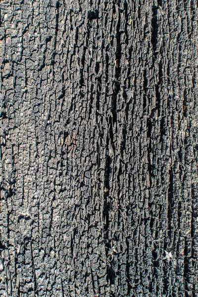 Tar texture Stock Photos, Royalty Free Tar texture Images | Depositphotos