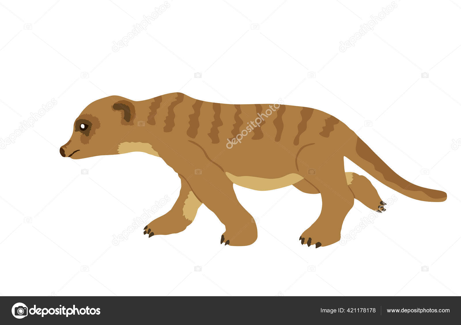 Meerkat Vector Illustration Isolated White Background Stock Vector by ...