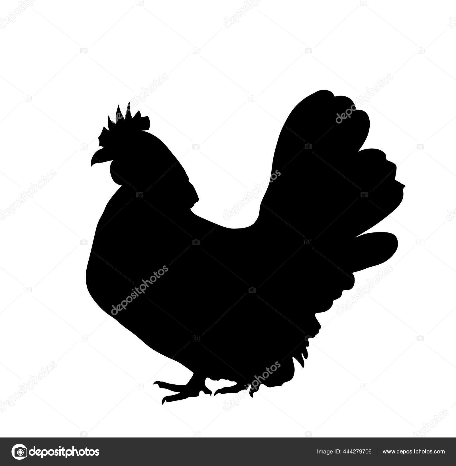 Silhouette De Poule