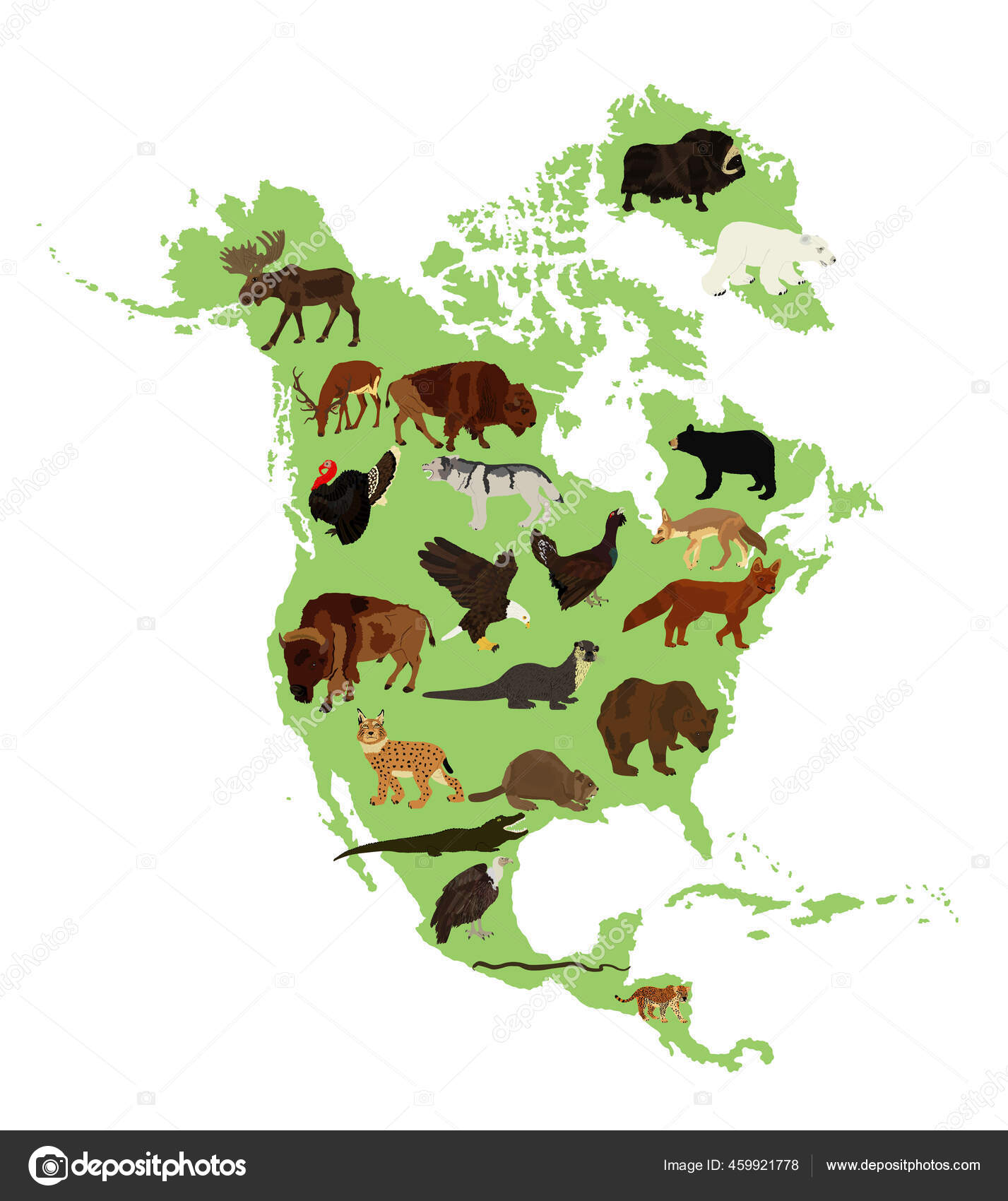 Continent Northern America Vector Map Silhouette Illustration Wild ...