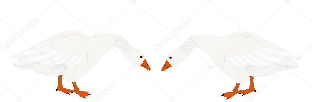 Fígado de ganso Vector Art Stock Images | Depositphotos